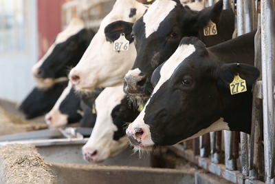 Zwick Center: Food Systems | Department of Agricultural & Resource ...